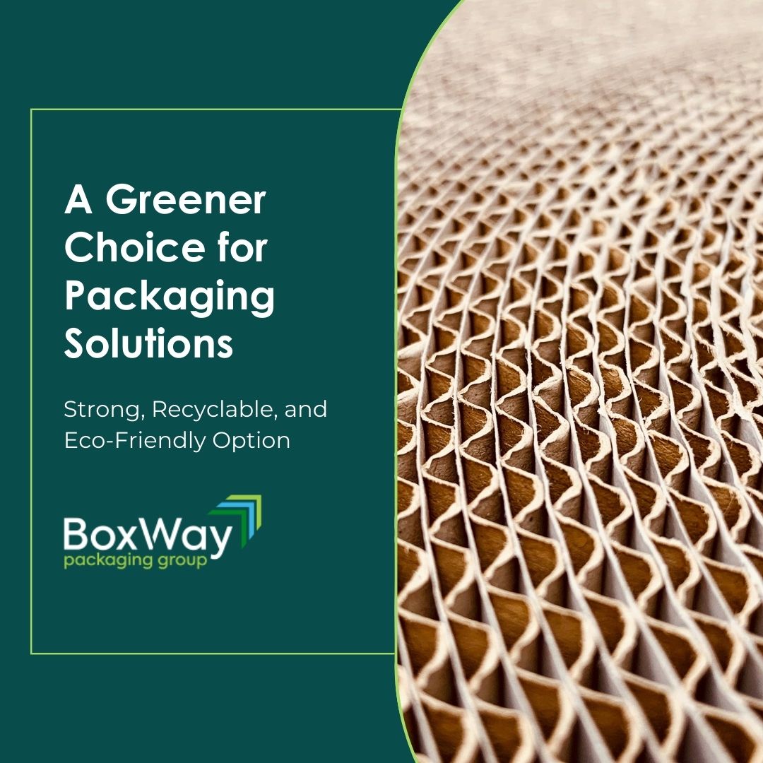 Corrugated Cardboard Explained | Sustainability & Recycling Benefits