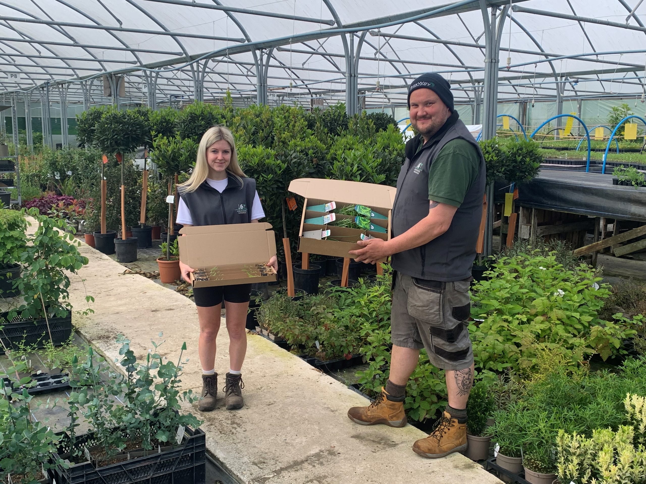 Plastic-Free Packaging Solution for Ashridge Nurseries | Innovative ...